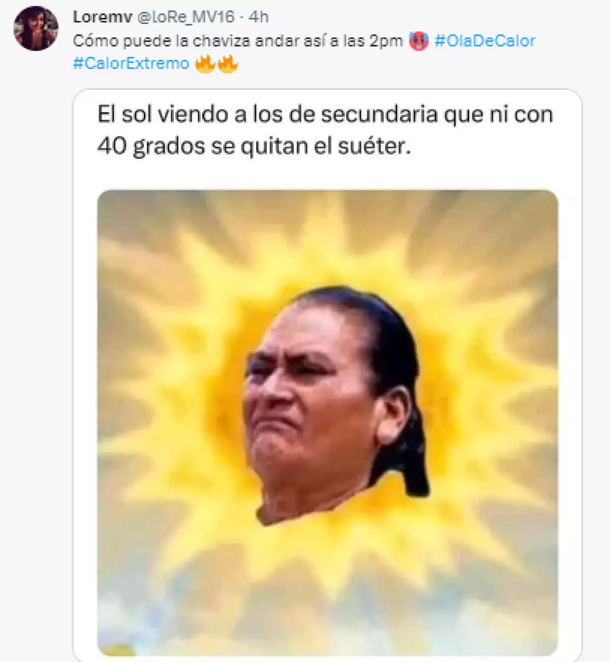 Estos son los mejores memes por el calor 2023