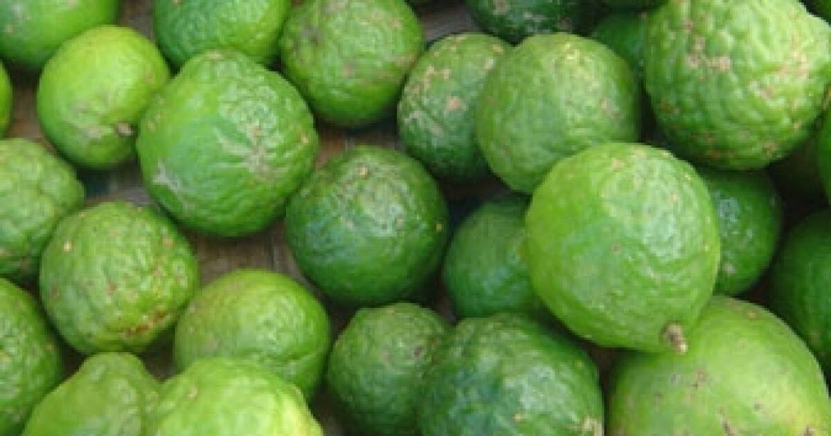 Limón mexicano triunfa en Corea del Sur