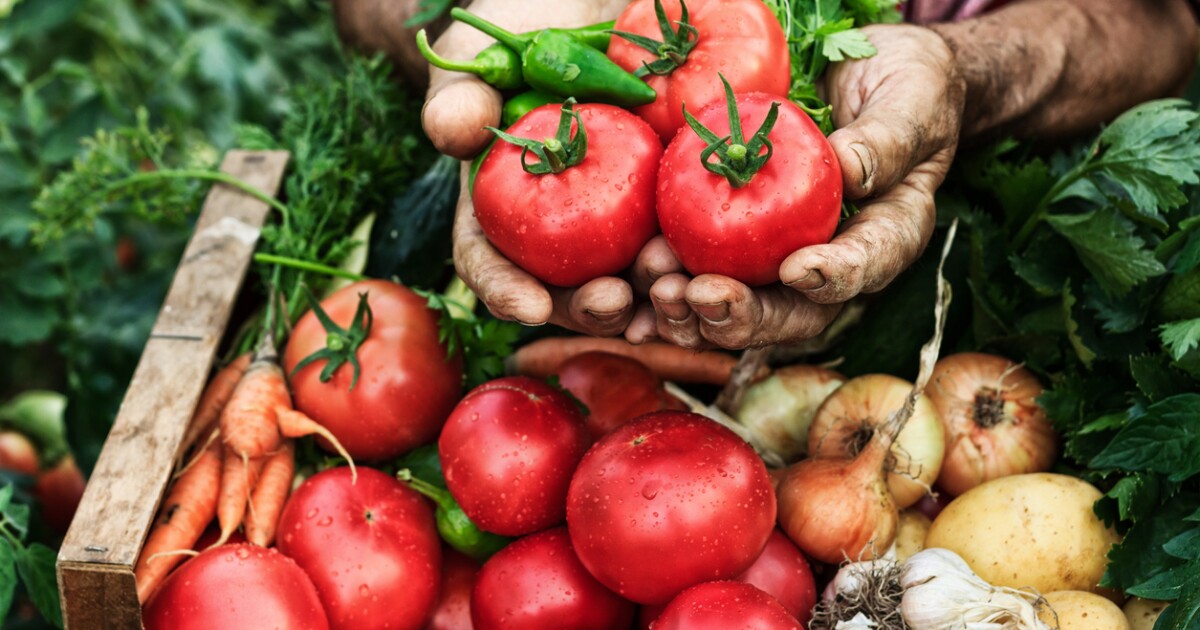 Por qué debe cambiar la forma de producir alimentos