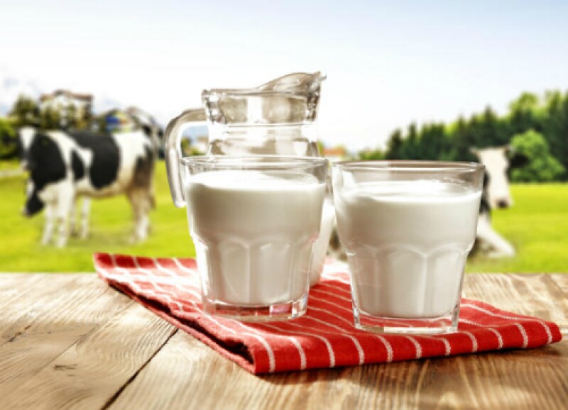 ¿Cómo le va a la industria de la leche en México?