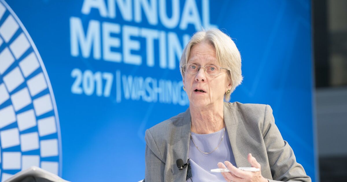 La experta Susan Rose-Ackerman (suegra de Irma Erendira) no cobrará ...