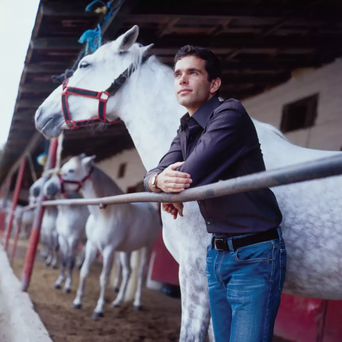 El Zoo de los Hank en Tijuana