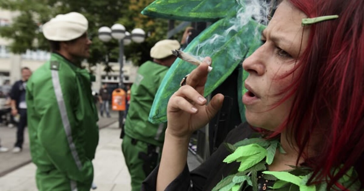 Estudio: Fumar marihuana ocasionalmente, menos perjudicial que el cigarro