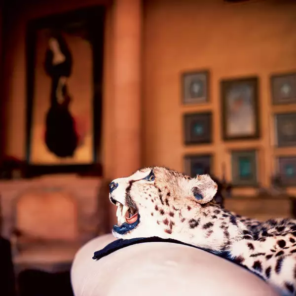 El Zoo de los Hank en Tijuana