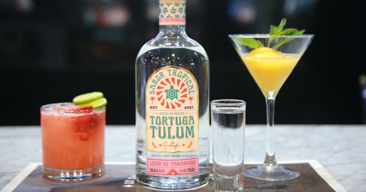 Conoce Tortuga Tulum, el destilado de tamarindo que apoya a las ...