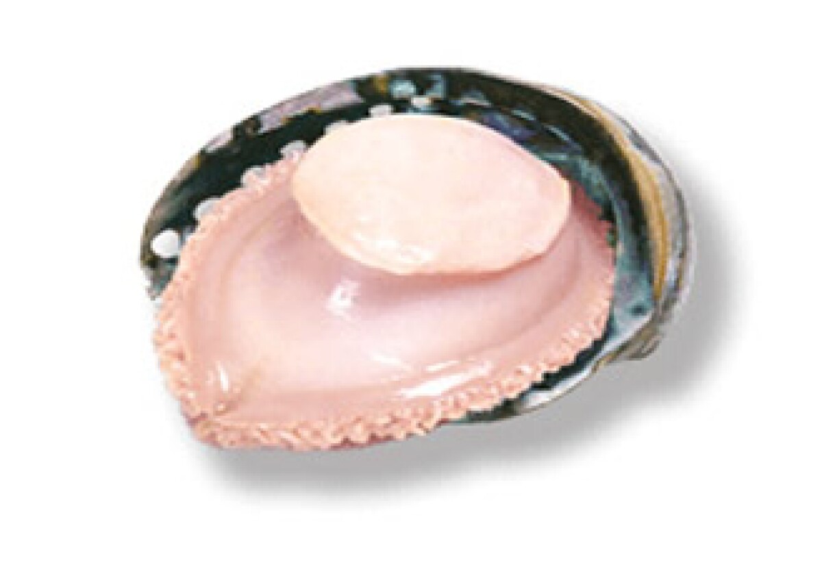 Pescadores de abulón de BC salen a flote