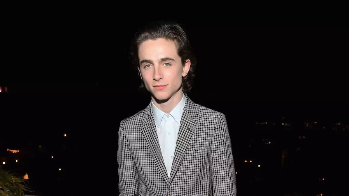 Evolución de estilo de Timothée Chalamet