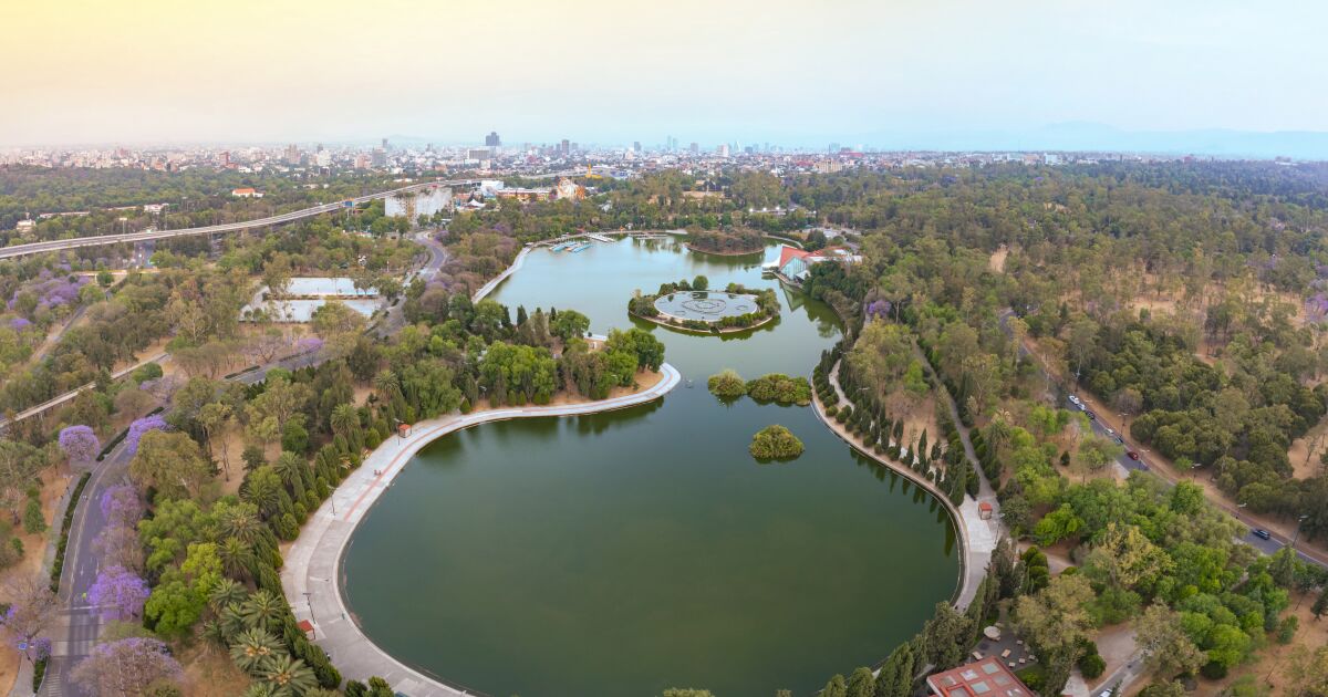 ¿Qué hacer en el Bosque de Chapultepec? Siete nuevas atracciones