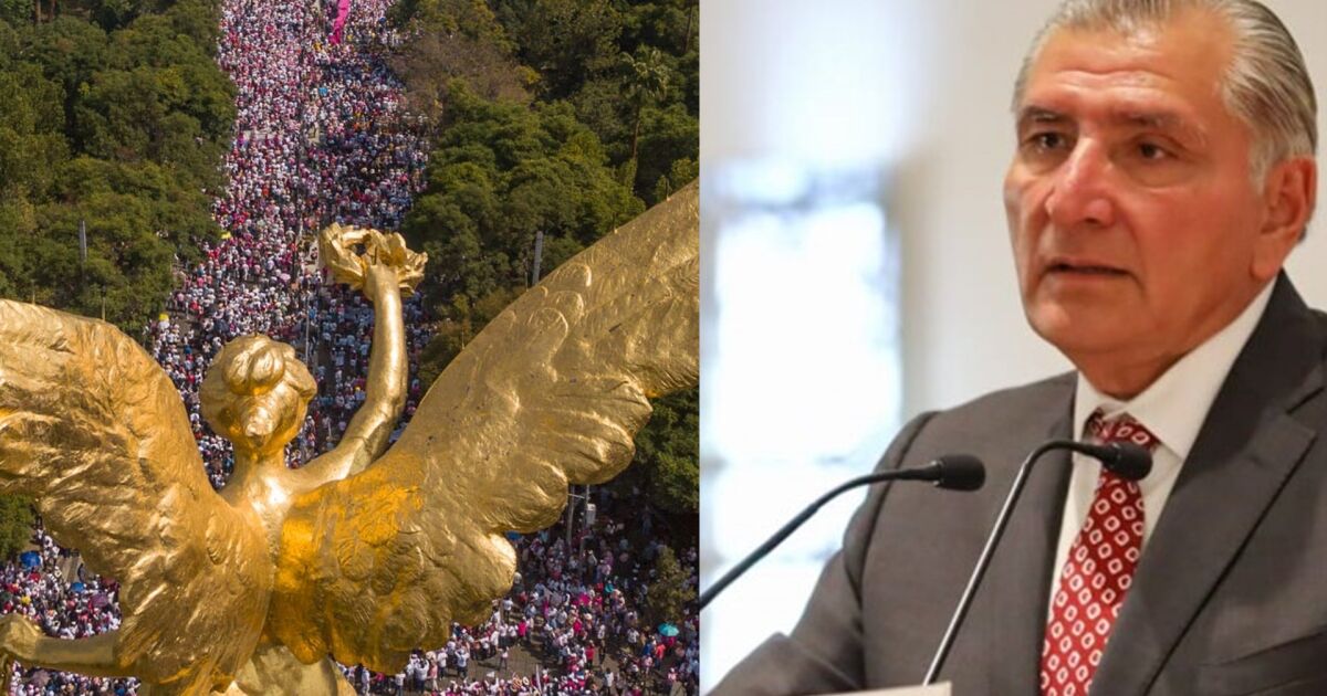 Una Caricatura Dice Adán Augusto Sobre La Marcha En Defensa Del Ine