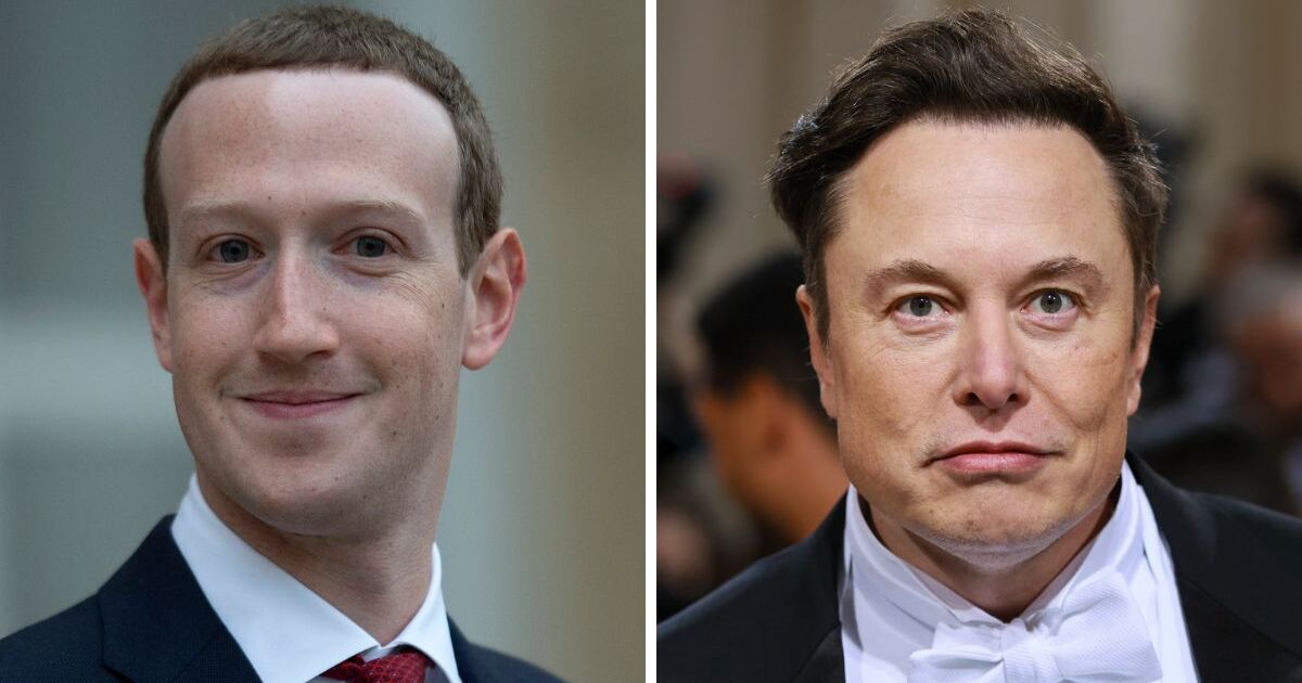 La pelea de Elon Musk y Mark Zuckerberg será transmitida en vivo