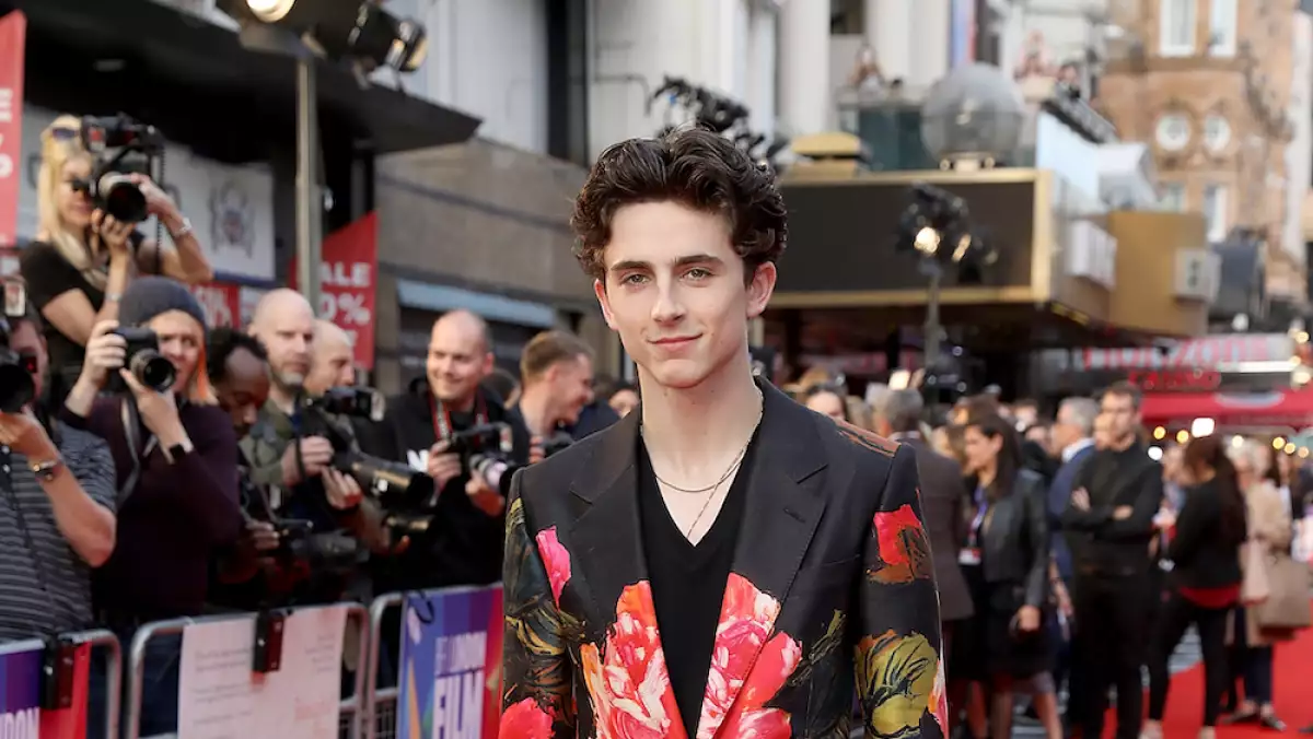 Evolución de estilo de Timothée Chalamet