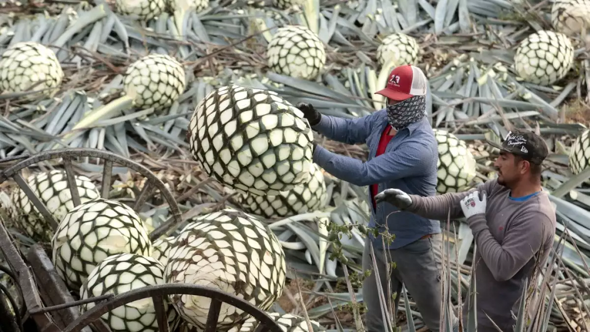 Becle vende su participación en Lalo Spirits