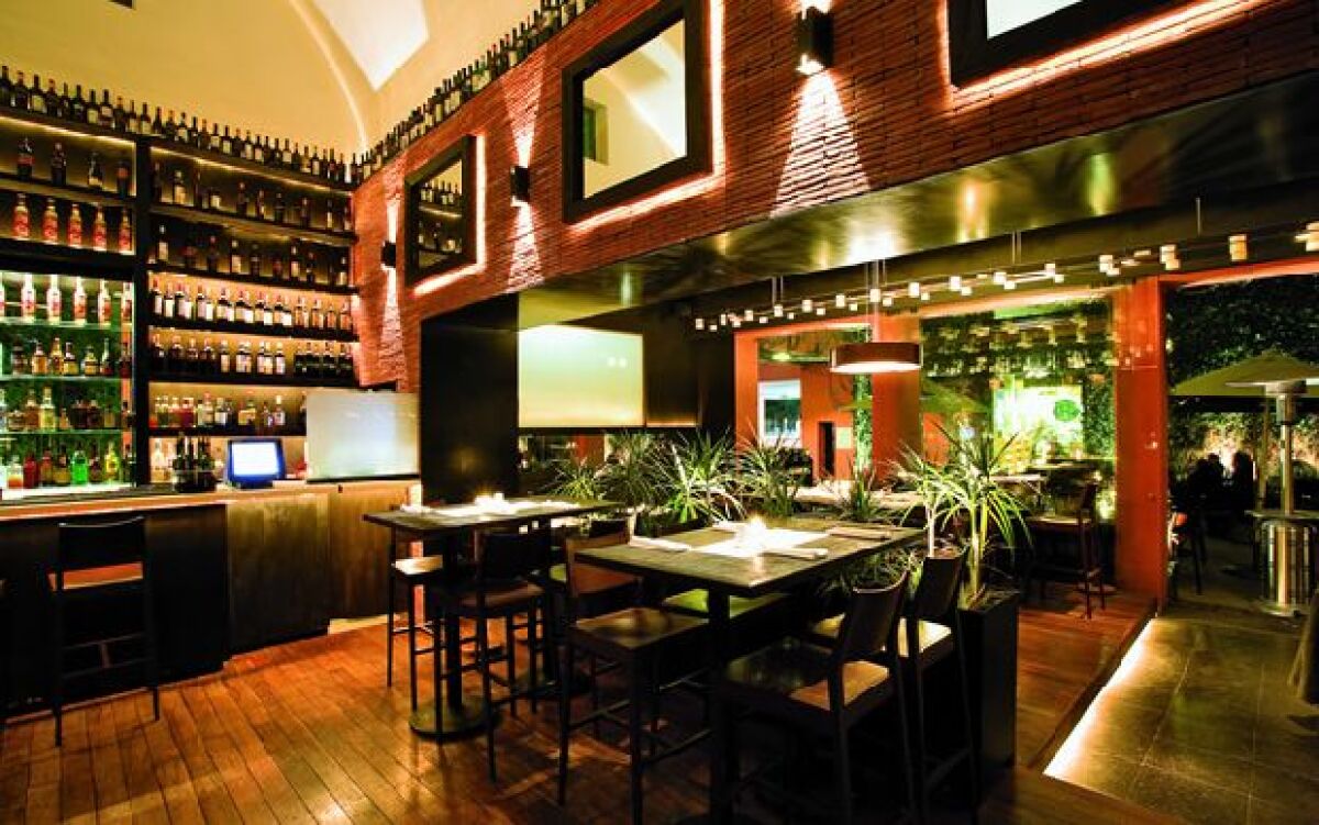 50 Friends San Ángel