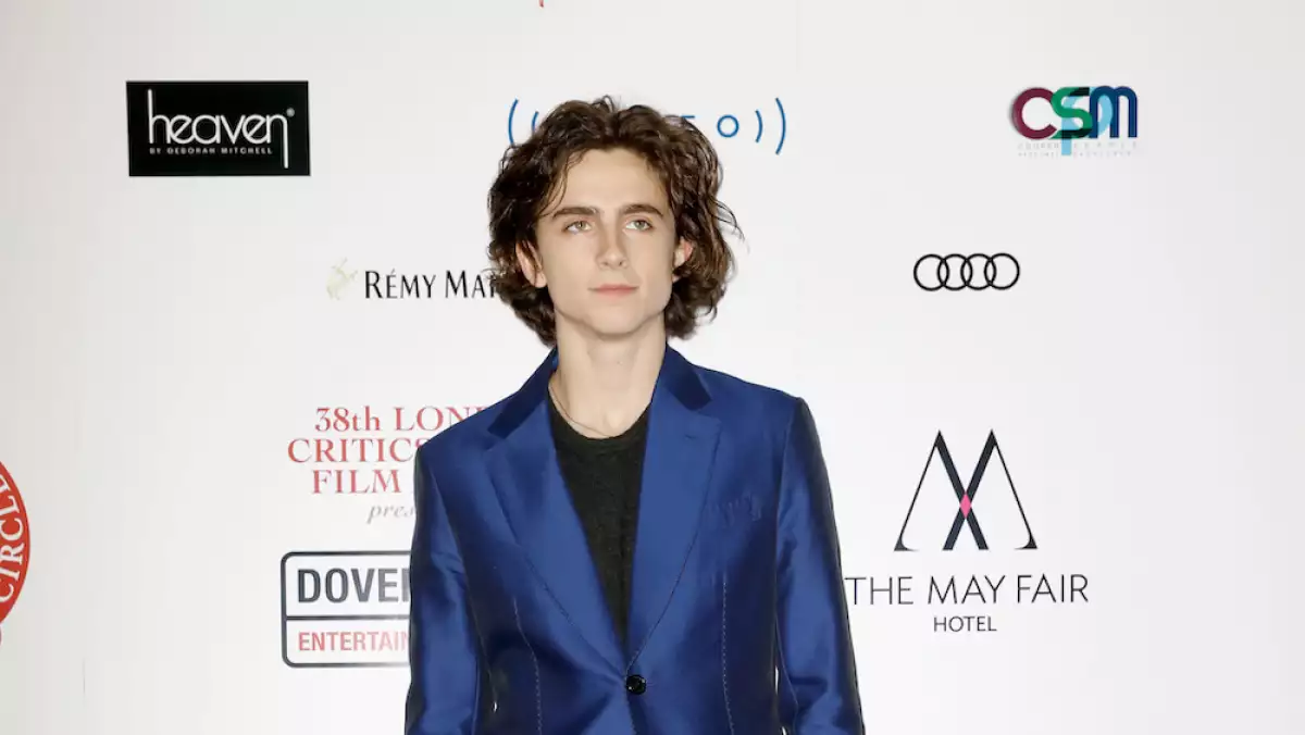 Evolución de estilo de Timothée Chalamet