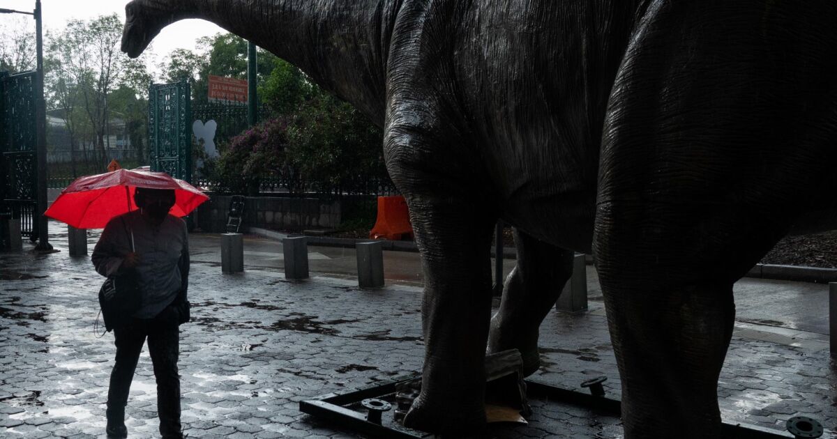 Huracán Dora 2023 cambia de categoría: sigue su trayectoria en vivo