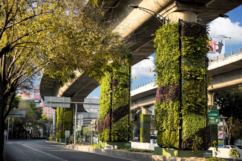 El proyecto ecológico que cambiará la CDMX se llama Vía Verde