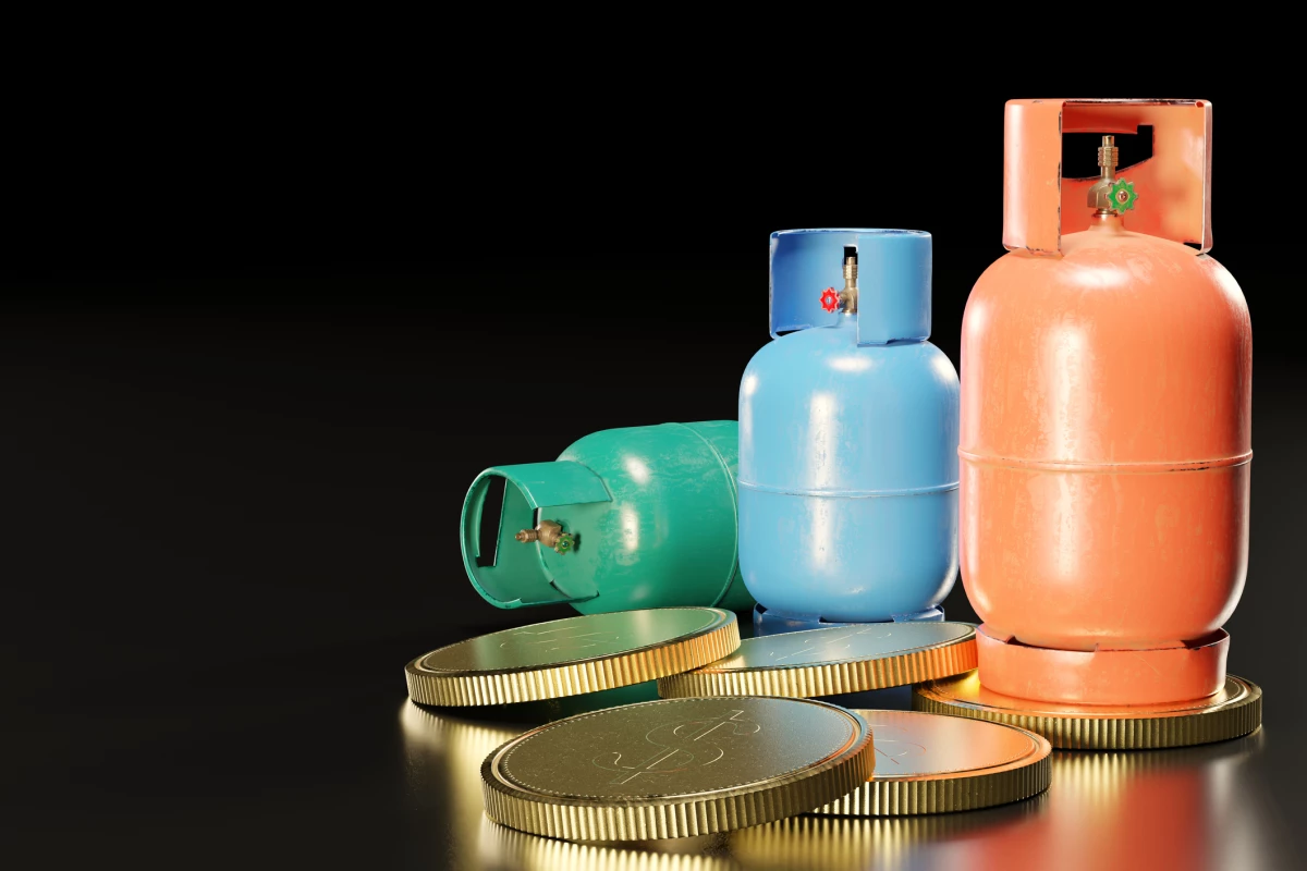 Diferencia entre gas natural y gas LP para uso doméstico, ¿cuál me ...