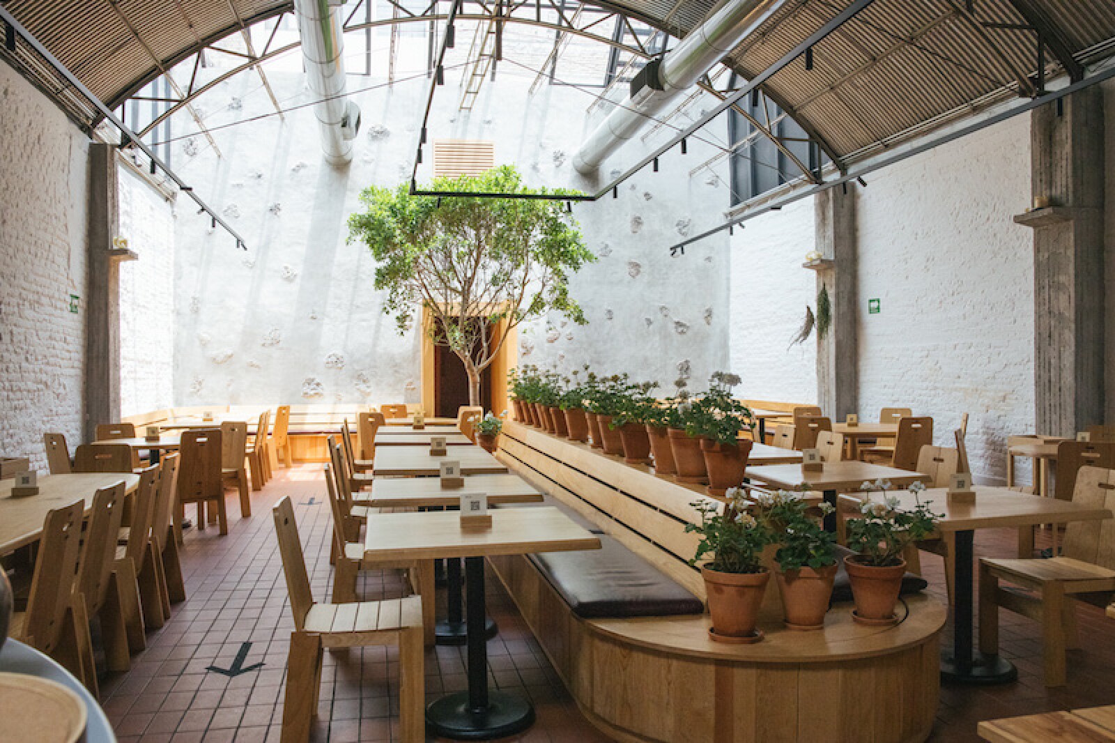 La nueva vida de Máximo Bistrot