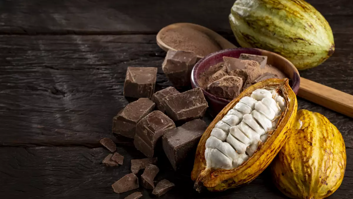 La economía del chocolate en México tiene un sabor amargo