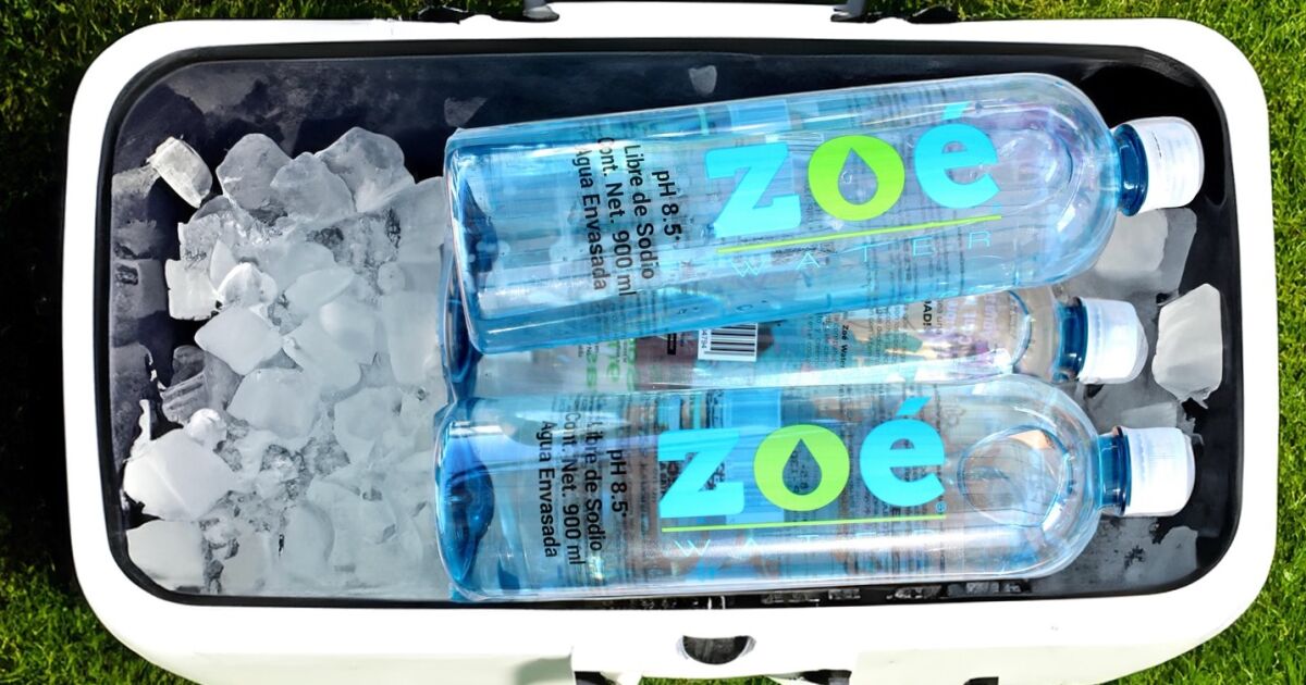 Zoé Water va por el mercado de las bebidas rehidratantes con su bebida ...