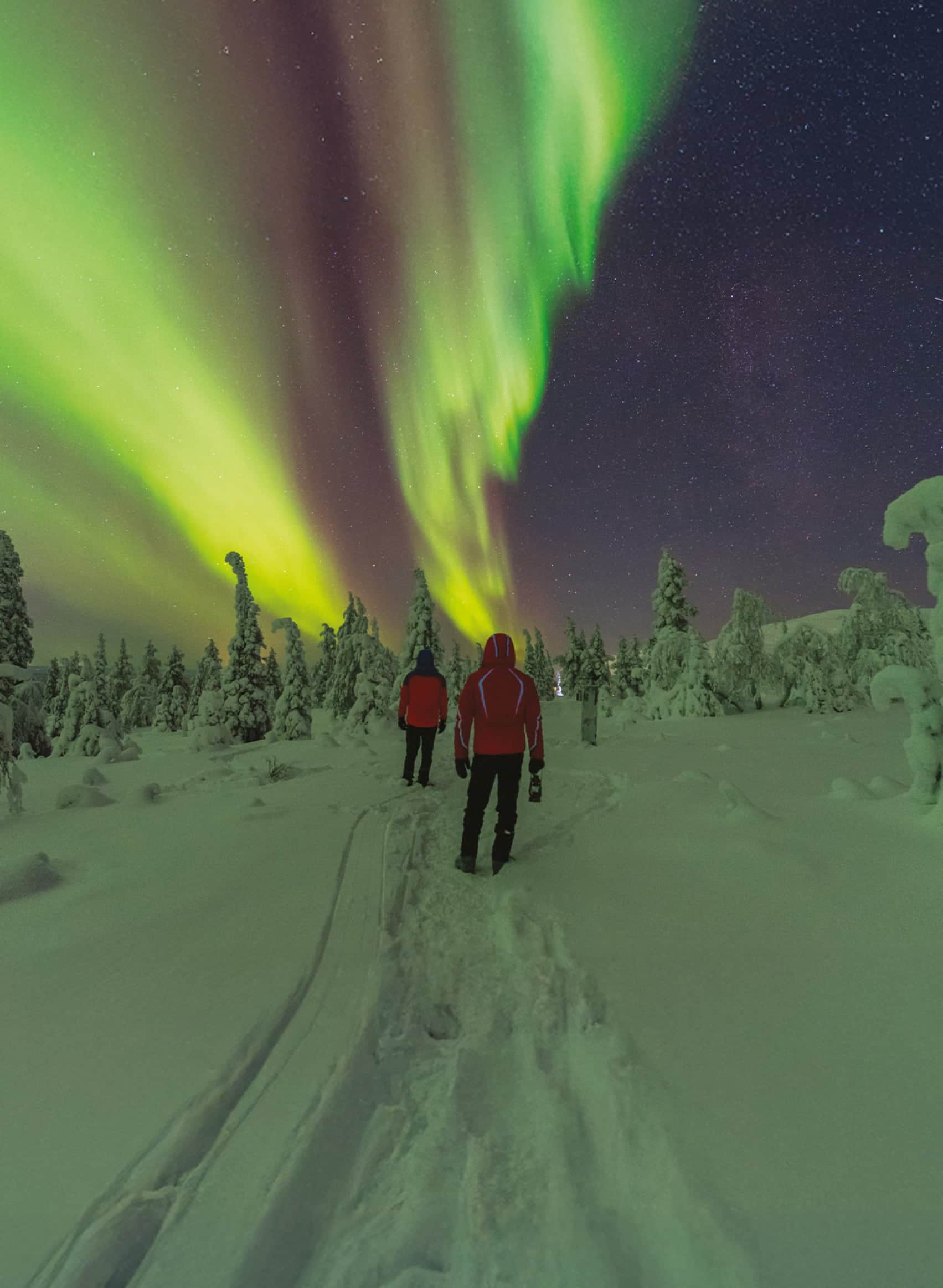 La manera perfecta de viajar en invierno